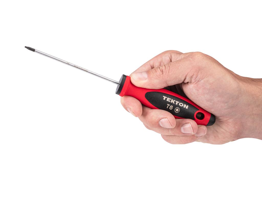 T6 Torx Screwdriver (4 in. Shank) | TEKTON